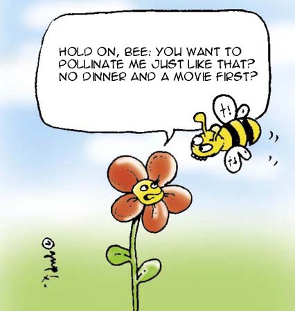 Cartoons Gallery - © Jup